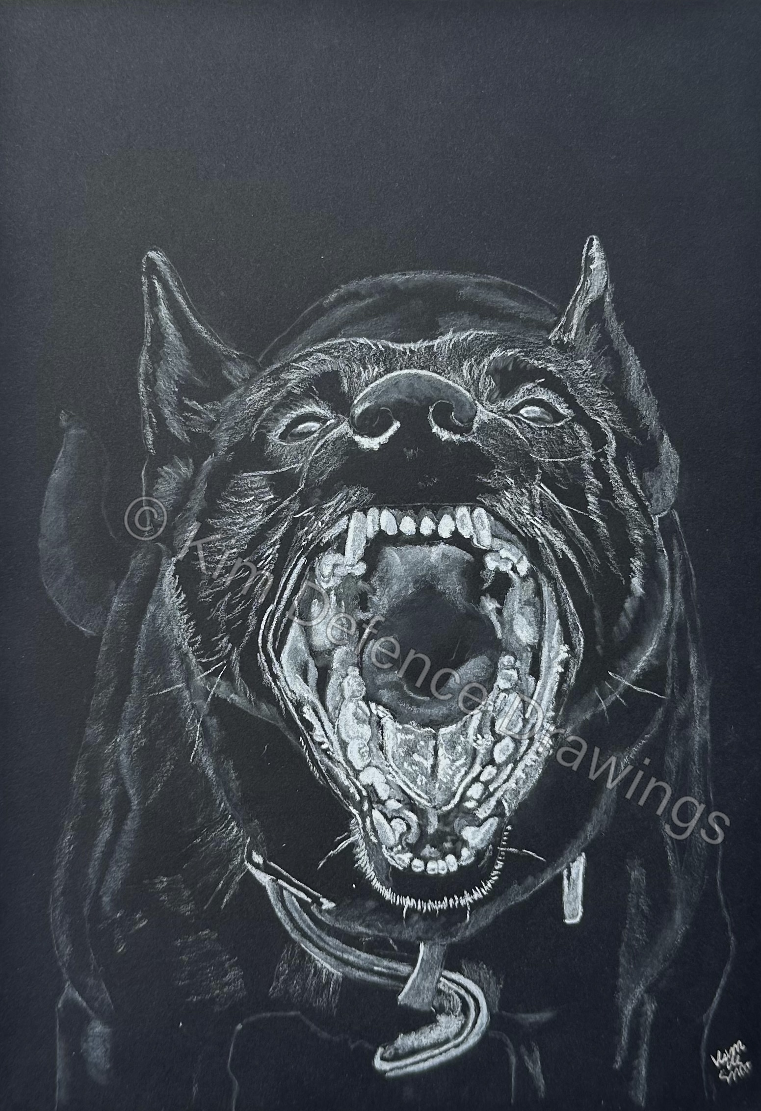 Kim Defence Drawings - Politie tekeningen